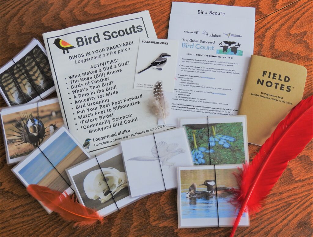 Bird Scouts Takes Flight - Friends of Malheur NWR