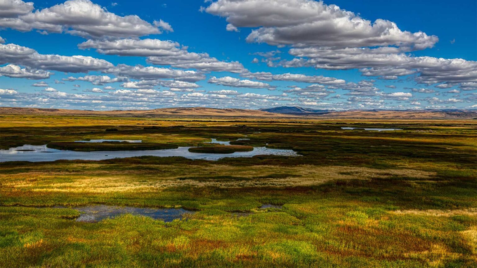 Premier Birding Locations - Friends of Malheur NWR
