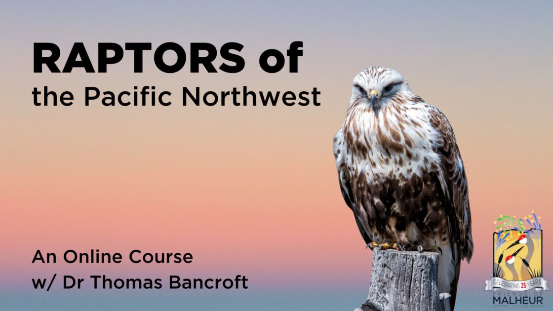 Raptors of the Pacific Northwest - Friends of Malheur NWR